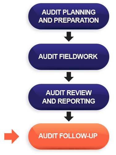 Stage 4: Audit Follow-up